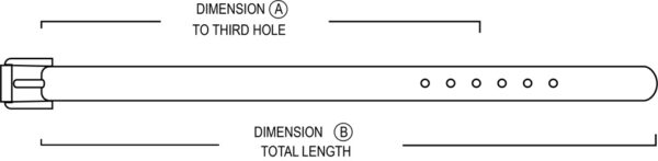 Belt Sizes - Barnes and Moore